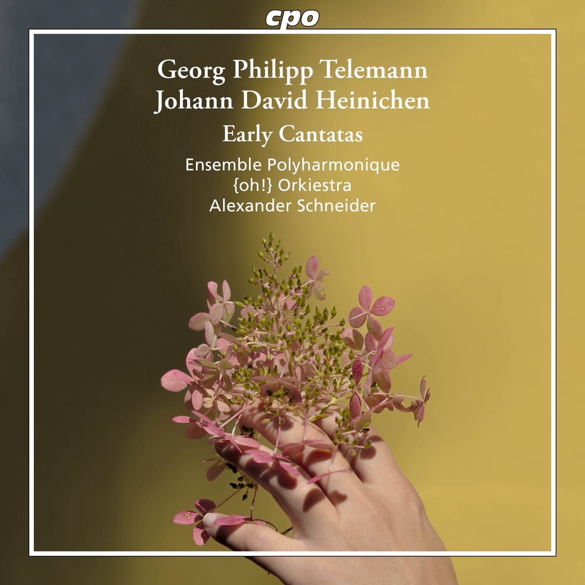 Heinichen and Telemann: Early Cantatas